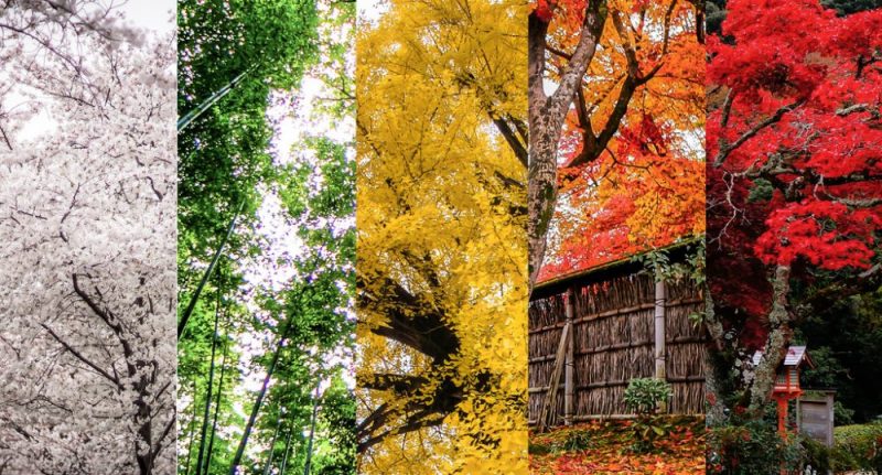 Days, months, and years in Japanese | Suki Desu